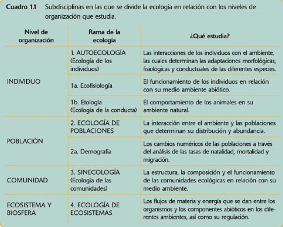 ECOLOGÍA : CONCEPTOS BASICOS DE LA ECOLOGIA
