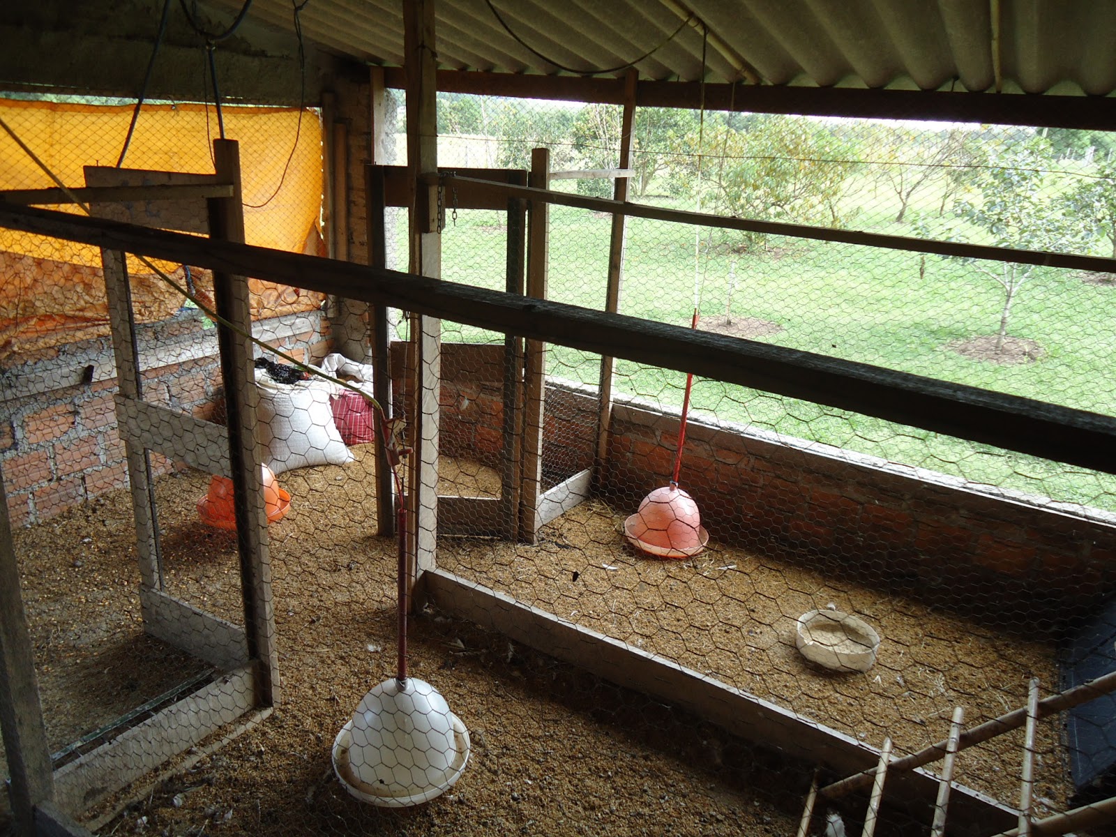 LINDO SÍTIO: GALINHEIRO