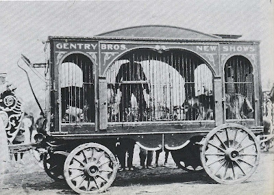 Sawdust and Spangles: More Cottage designed wagons