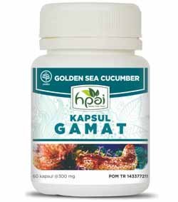 HNI Serang: KAPSUL GAMAT