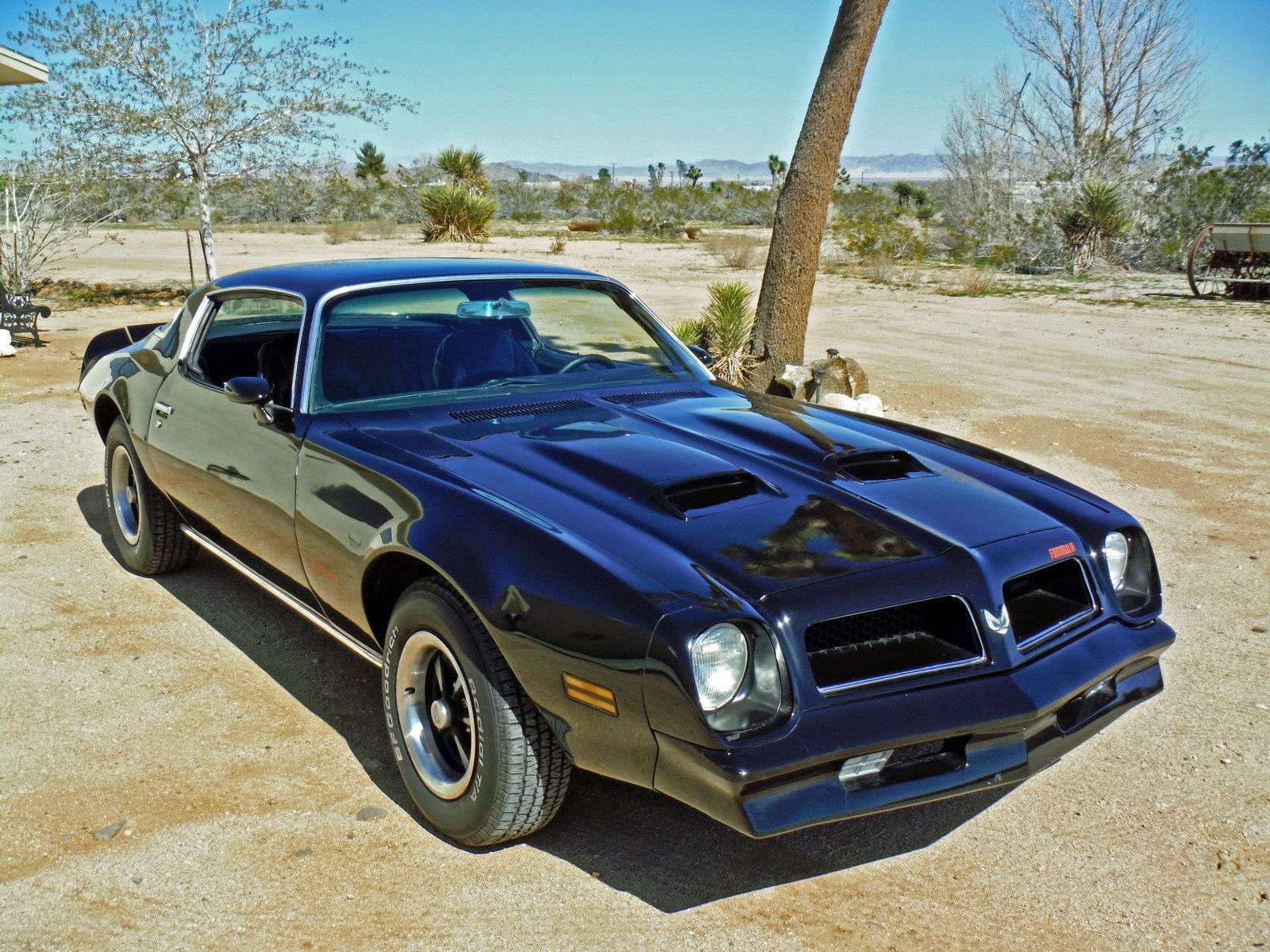 All American Classic Cars: 1976 Pontiac Firebird Formula 2-Door Hardtop ...