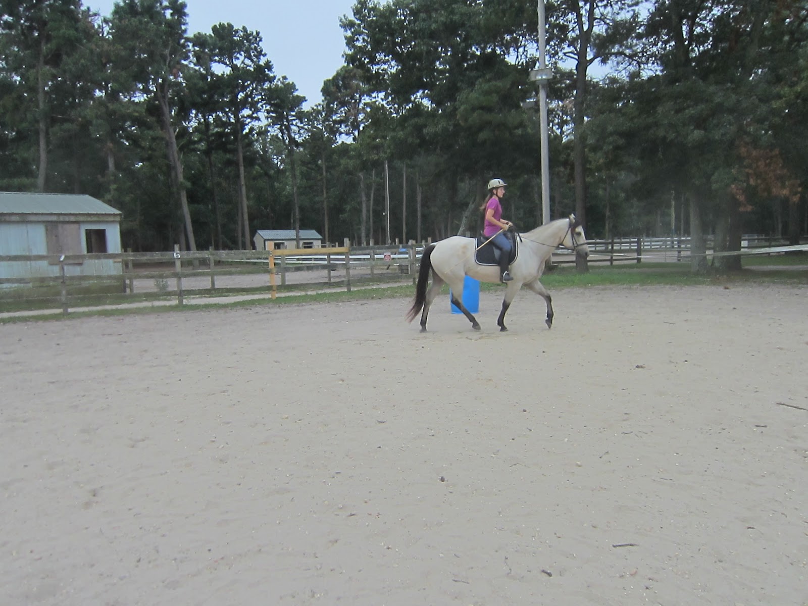 Memoirs of a Horse Girl: Riding Reflection: Using the Inside Rein