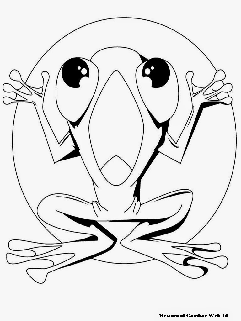 Inspirasi 37+ Sketsa Katak