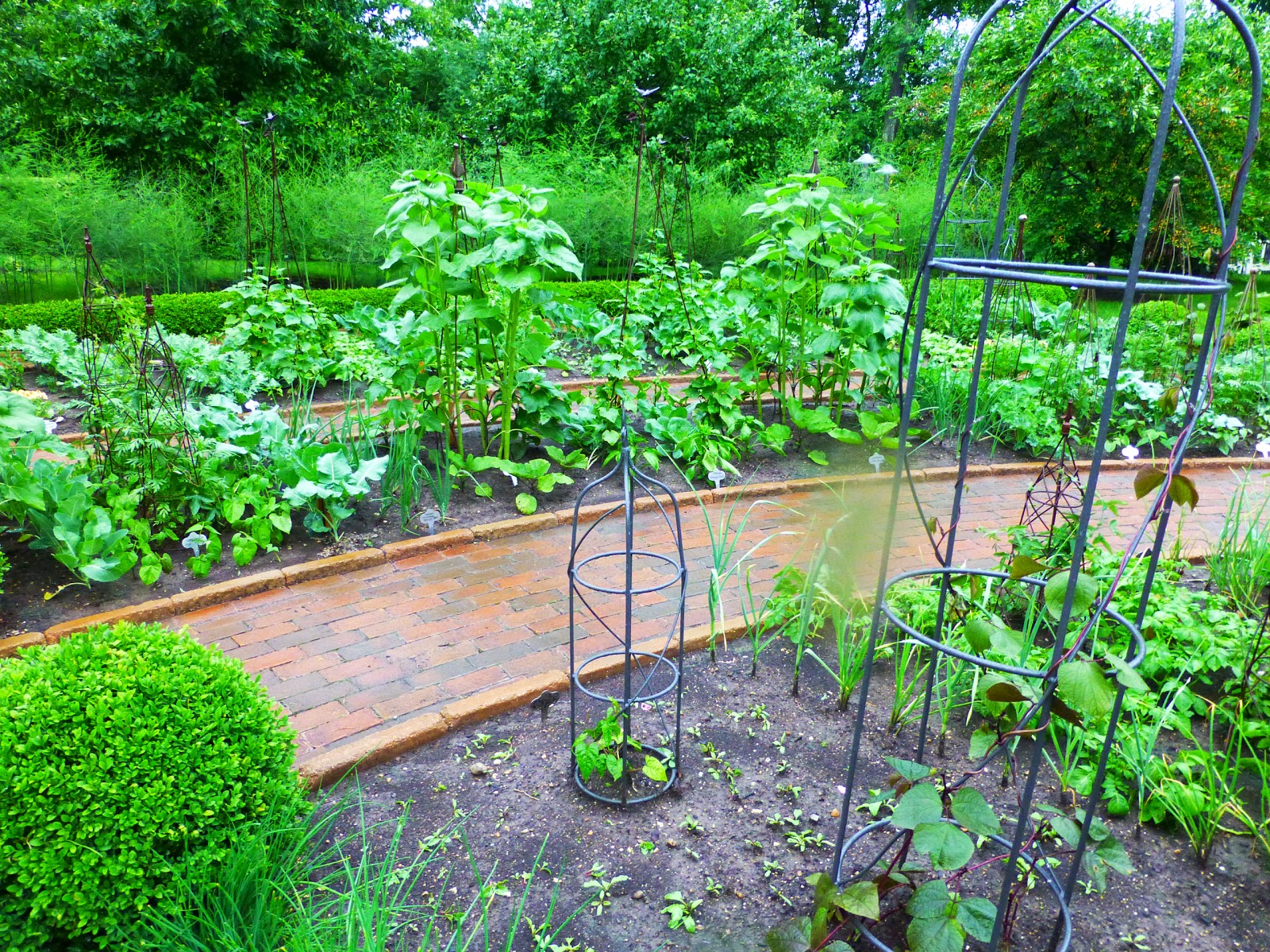 Romancing the Home: The Most Beautiful Potager and Pool Area