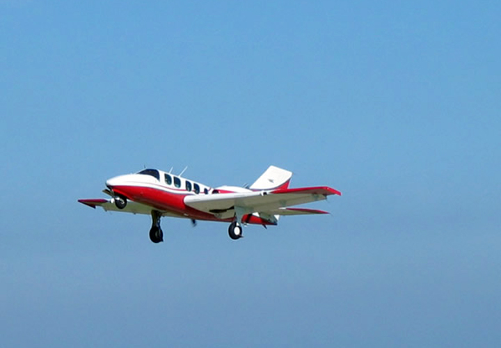 nhungdoicanh: AAC 44 Angel