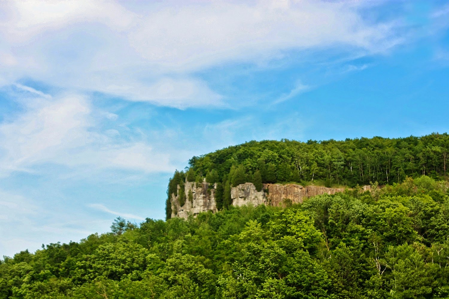 Mishy's Corner of the World: Kelso Conservation