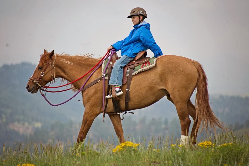 Buckaroo Leather Horse Tack, Use, Care and Maintenance: Justin Dunn ...
