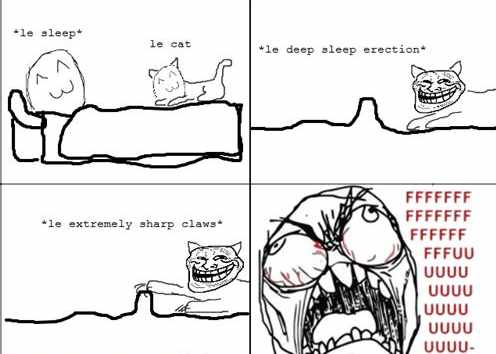 CyBeRGaTa: Troll Cat and other Meme Kittehs