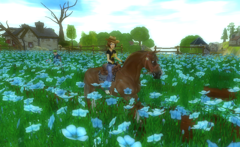 Star Stable Legacy: October 2013