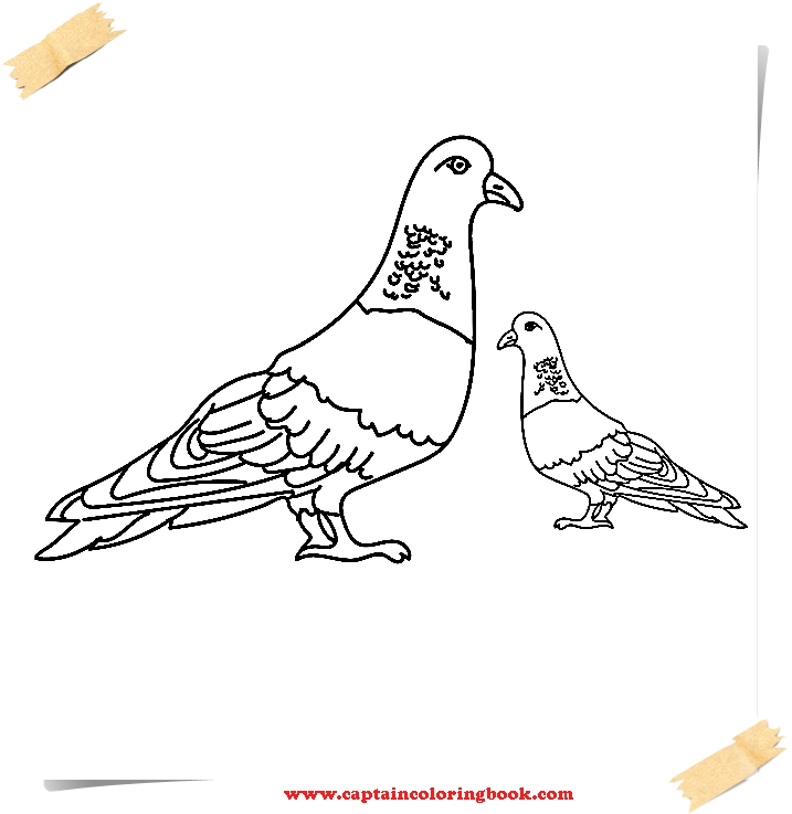 Coloring book pdf download