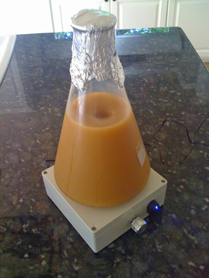 Fields Brewing: DIY Stir Plate