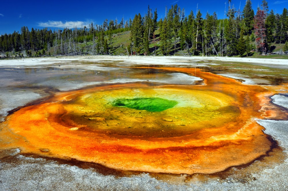 Far Beyond Borders: Yellowstone National Park