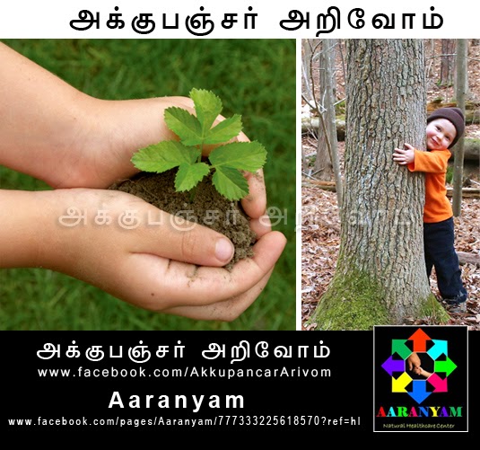 அக்குபஞ்சர் அறிவோம் - AARANYAM: பிராண சக்தி தொழிற்சாலை - மூங்கில் ...