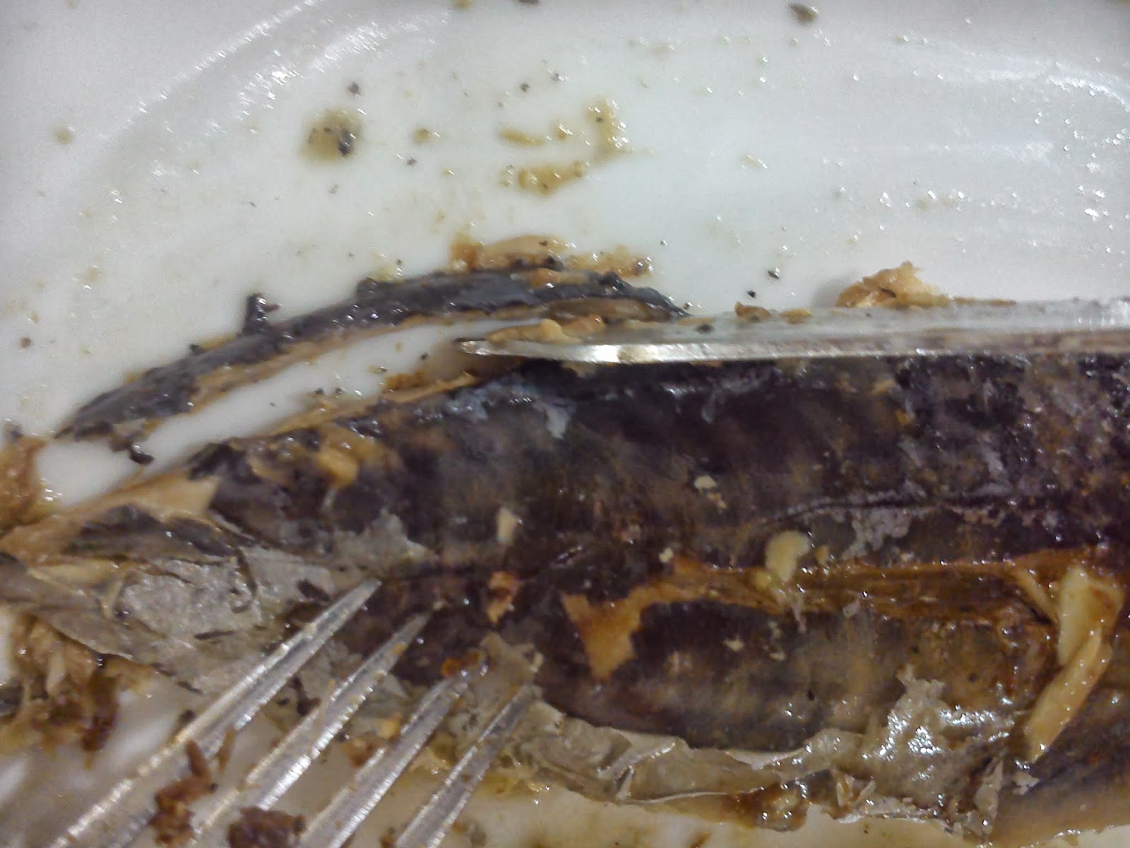 PROCEDURE HOW TO FILLET THE FISH | Alimentos y Bebidas