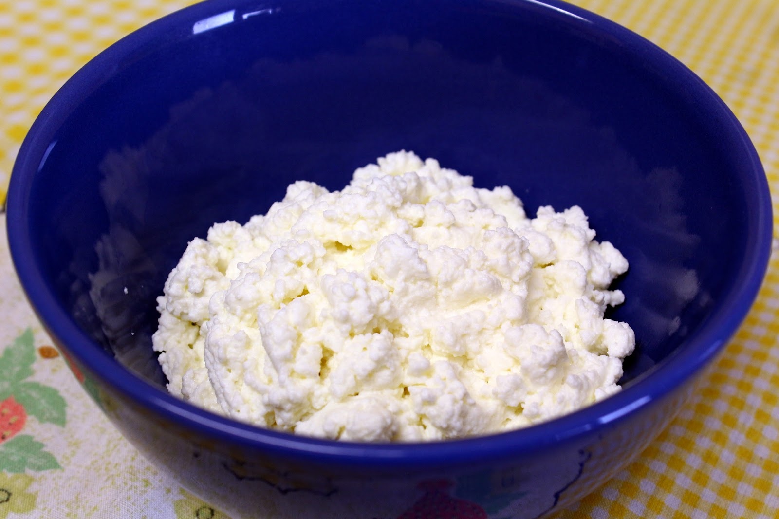 Queijo Cottage Caseiro | MASTER MÚSCULOS