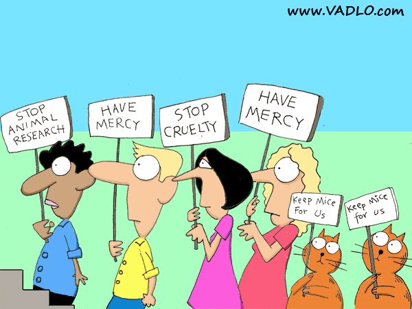 Most Cartoon Research jokes | Clinical Researchers Most Cartoon Research jokes | Clinical Researchers
