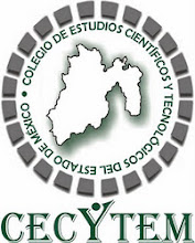CECYTEM SAN FELIPE DEL PROGRESO