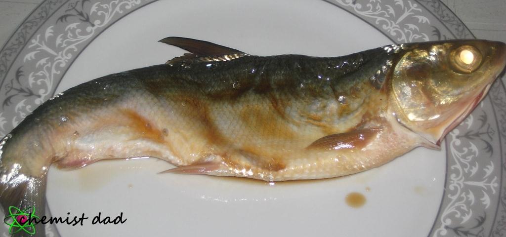 Kitchen Adventures: Rellenong Bangus (Stuffed Milkfish)