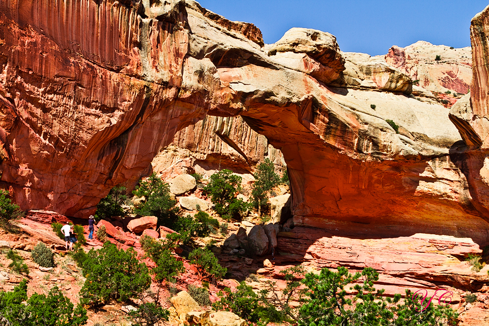 See What I See: YC 镜中的 Capital Reef and Arches NP