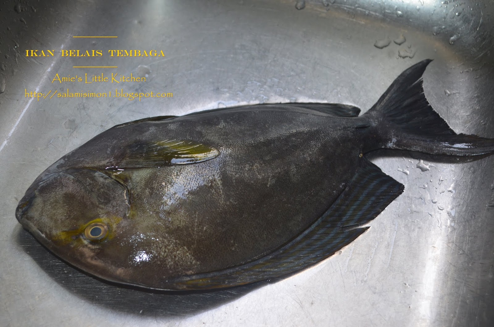 Peria Masak Kari, Sambal Mangga, Ikan Sulig & Belais Tembaga Goreng ...