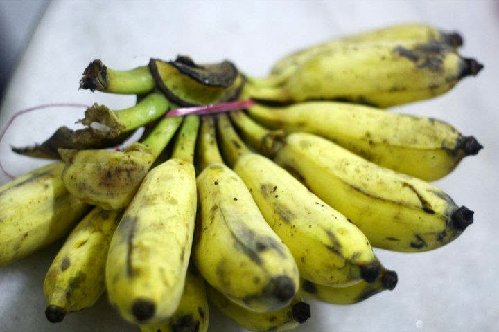 Sebenarnya Tanaman Pisang Yang Dibudidayakan Untuk Diambil Manfaatnya ...