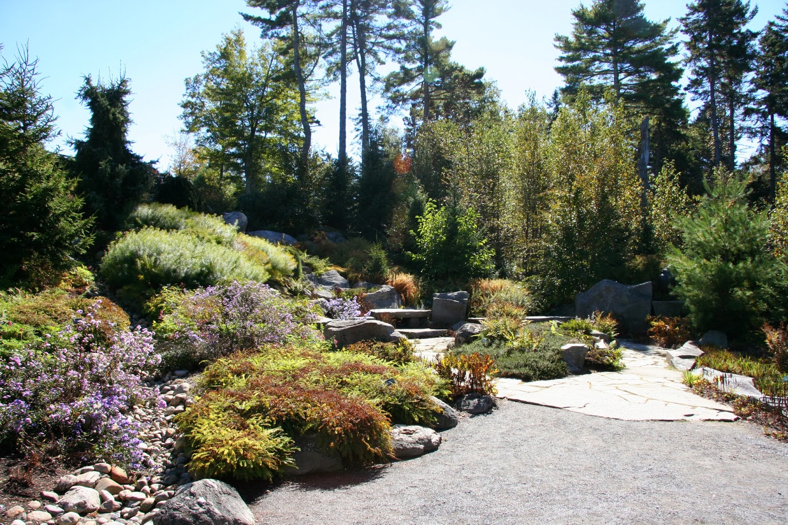 Daffodils & Daydreams: Garden Visit: Maine Coastal Botanical Gardens