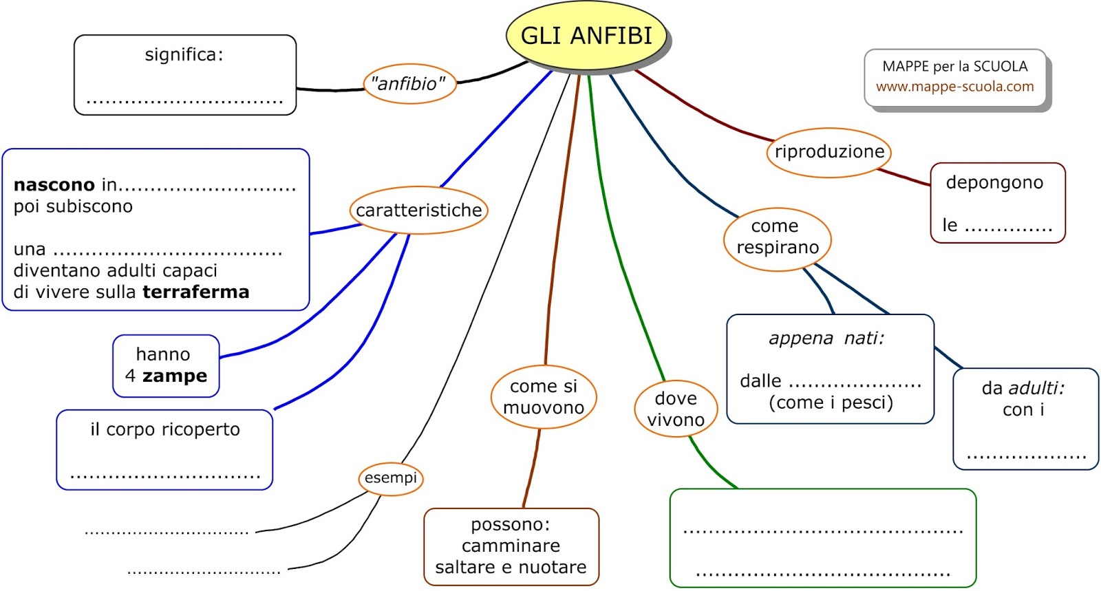 MAPPE per la SCUOLA: GLI ANFIBI