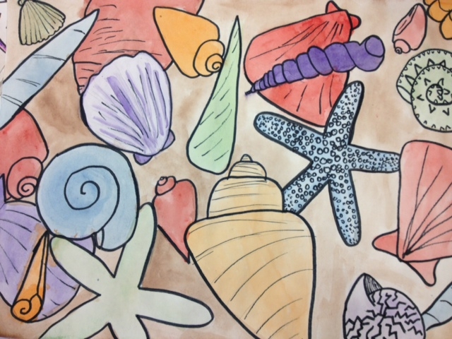 Art With Mrs. Lane: Seashell Observations