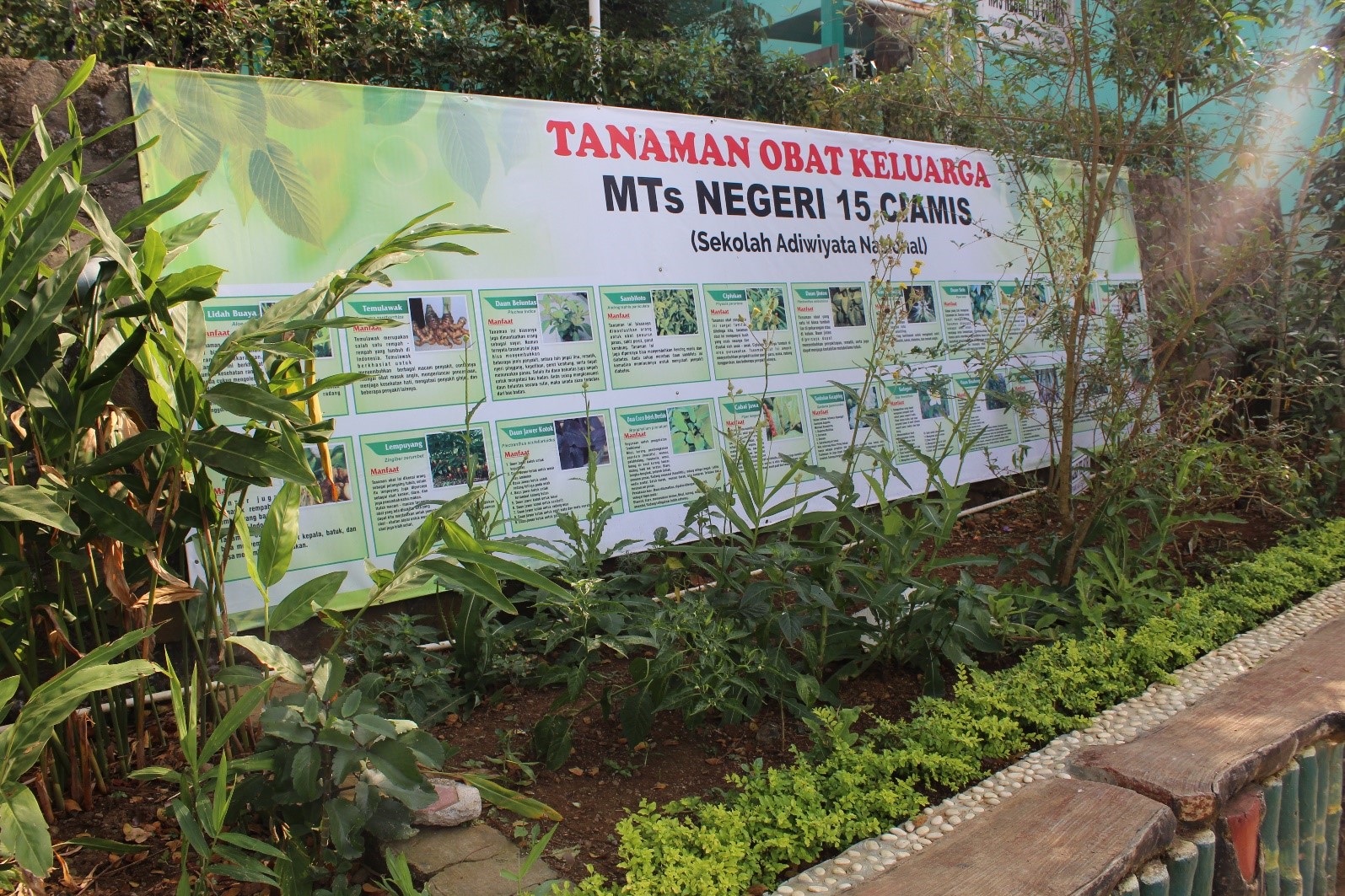 Pemeliharaan TOGA (Tanaman Obat Keluarga) MTs Negeri 15 Ciamis | MTs ...