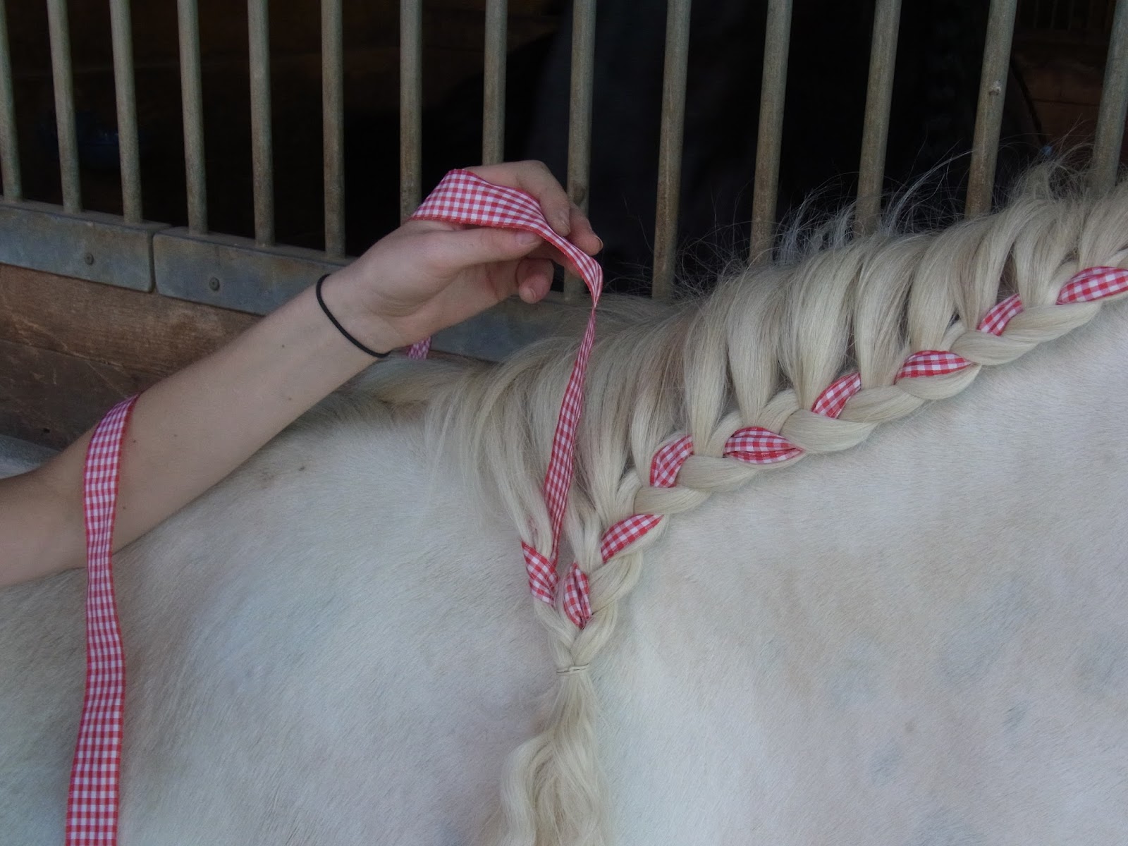 Pferde-Flechtfrisuren: Der Oktoberfest-Look (Level 2)