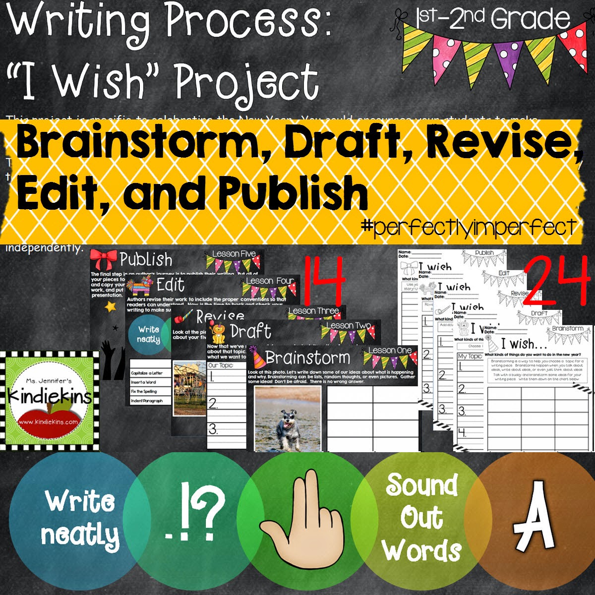 I Wish Writing Project