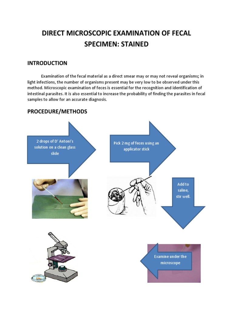 fecalysis - philippin news collections