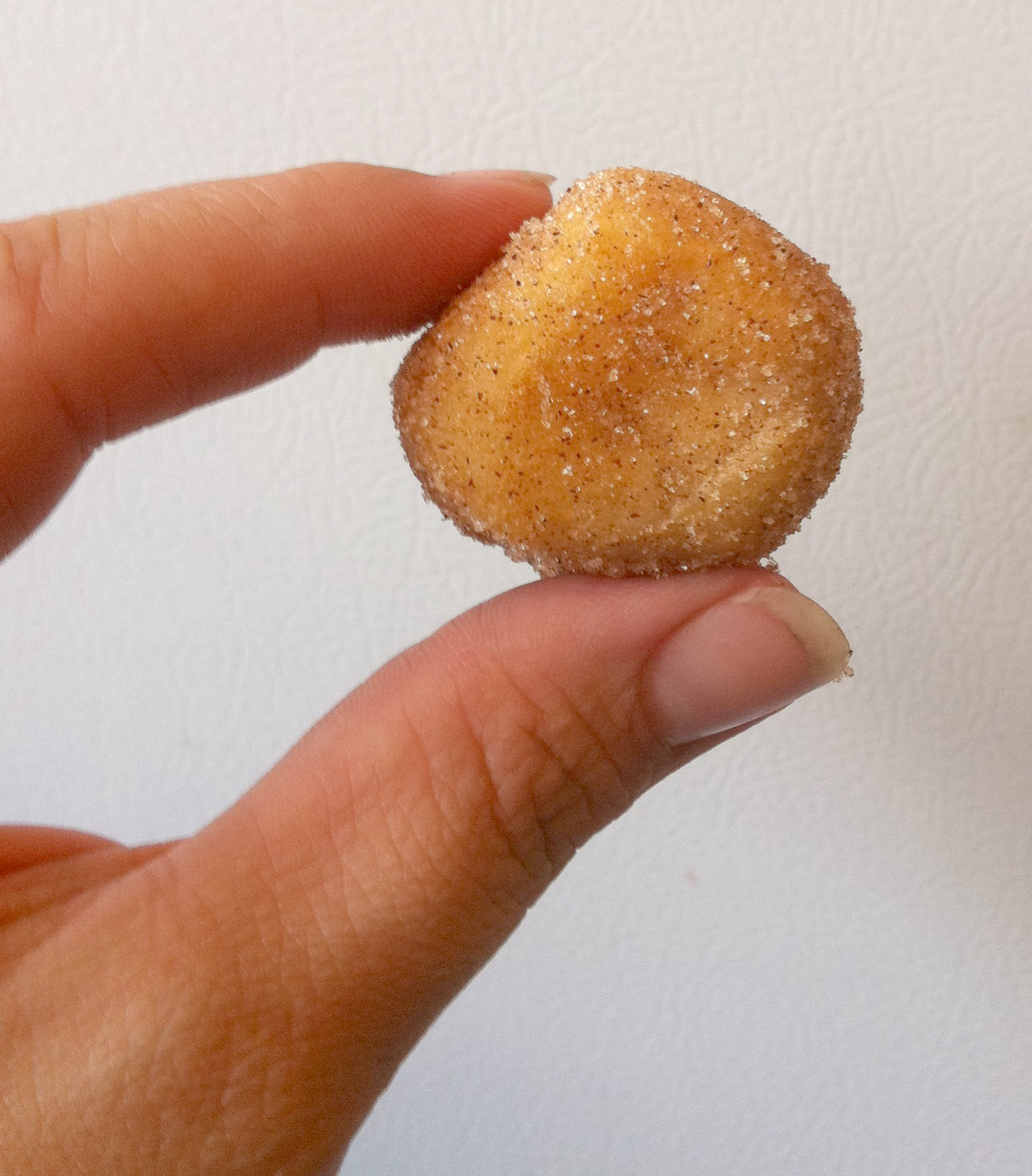 I Cant Direct The Wind But I Can Adjust The Sails: Easy To Make Dairy ...