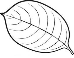 Planse de colorat si fise pentru copii: PLANSE DE COLORAT CU FRUNZE ...