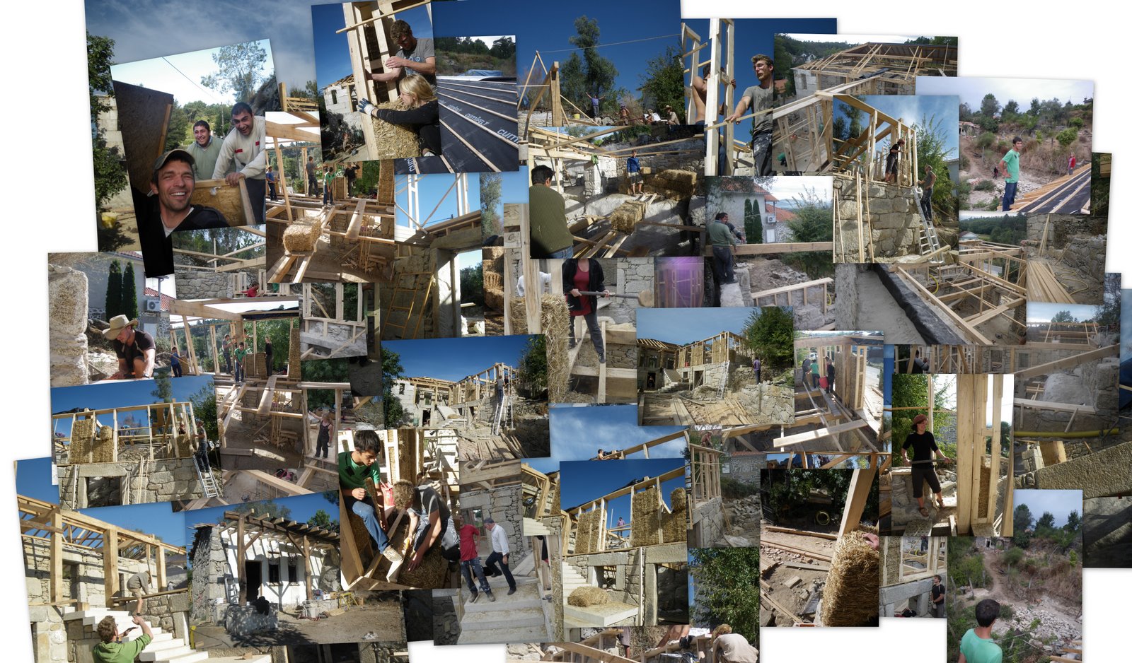 Wolfe in Transition: building collage