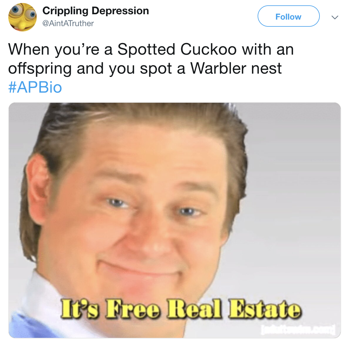Montclair High School Bio Blog Parasitic Cuckoos And AP Bio Memes montclair-high-school-bio-blog-parasitic-cuckoos-and-ap-bio-memes