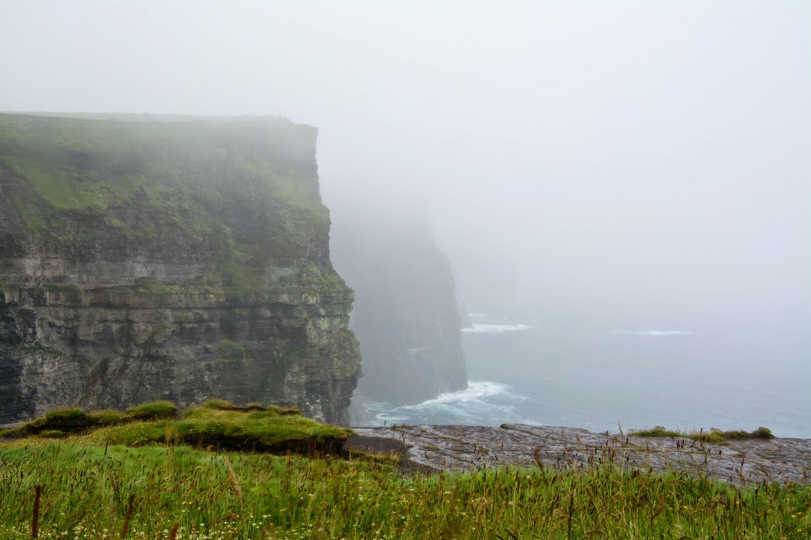 A Tree Falling: Adare, Cliffs of Moher and Rathbaun Farm