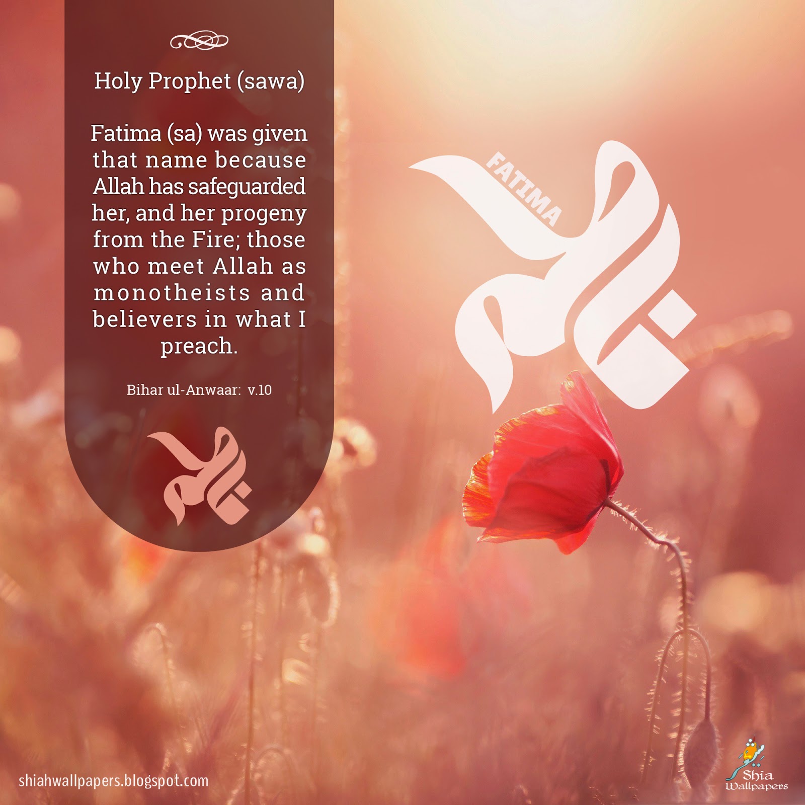 Shia Wallpapers: Fatima (sa) - The Name