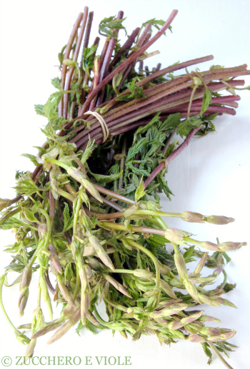 Risotto di bruscandoli da Zucchero e Viole su Akkiapparicette