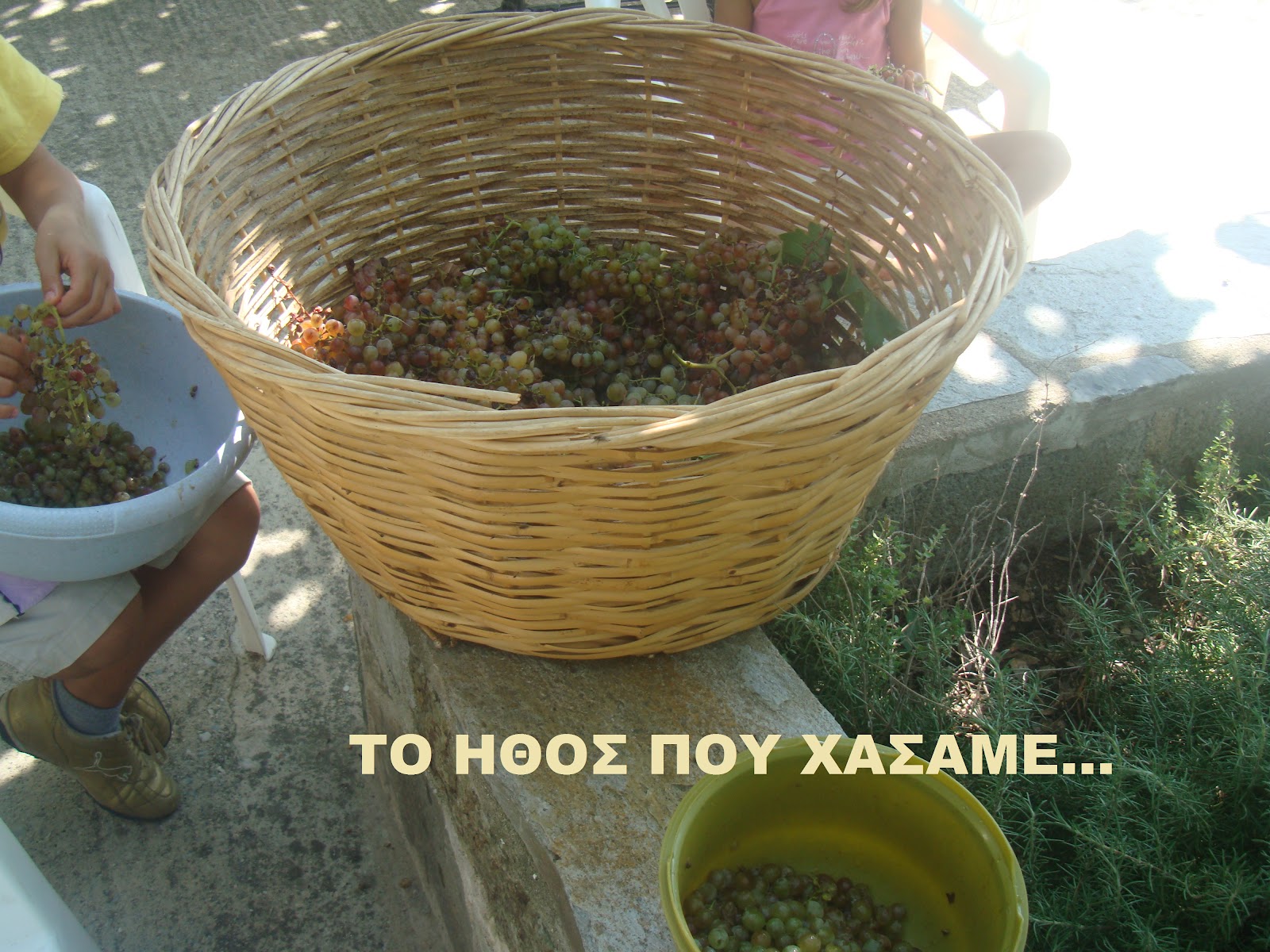 TΟ ΗΘΟΣ ΠΟΥ ΧΑΣΑΜΕ...: Καλημέρα και σήμερα...