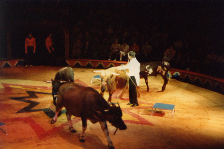 A friend of the Circus