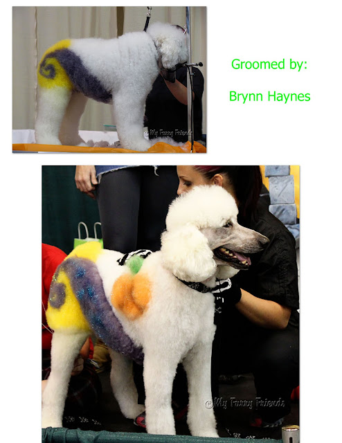 Pet Grooming: The Good, The Bad, & The Furry: Groom Expo 2011 Creative ...