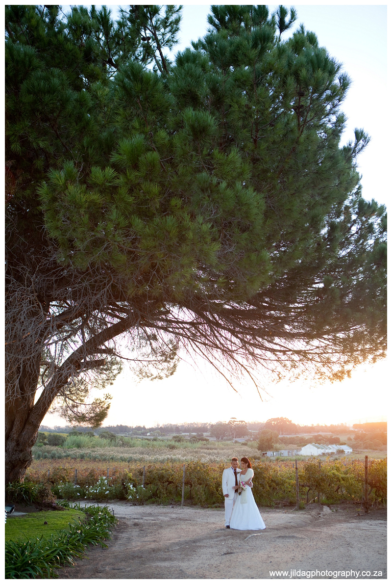 Jilda G Photography: Winelands wedding - Groenvlei Guestfarm