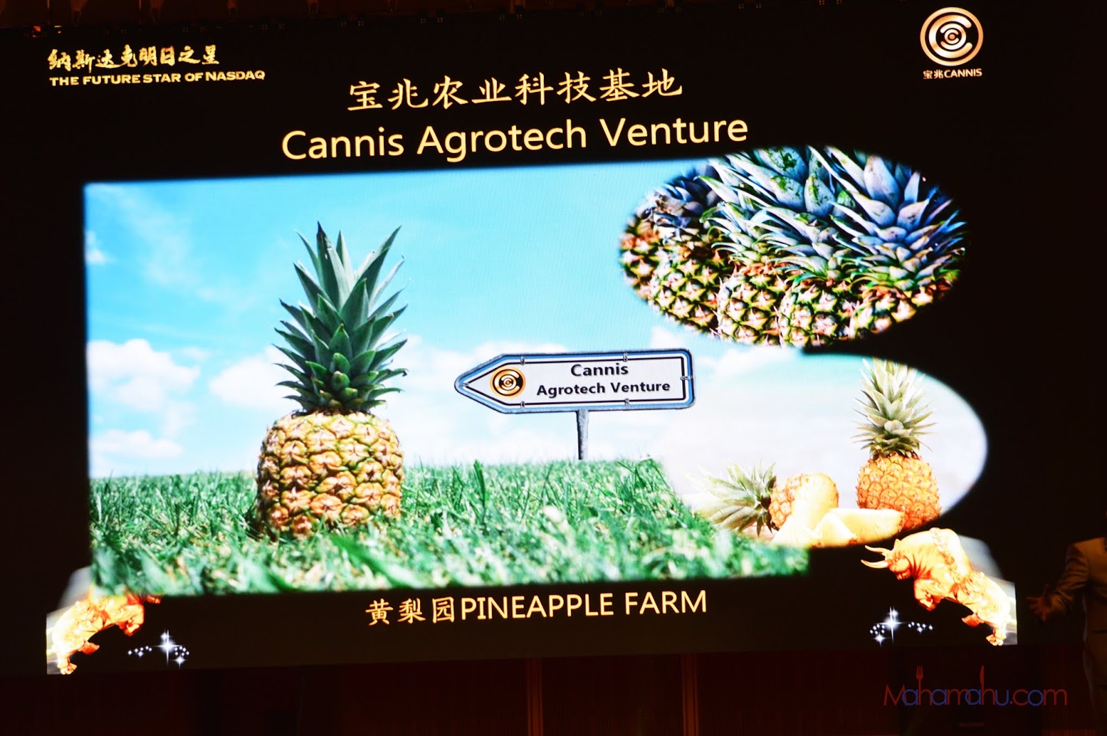 Aplikasi 7 Dalam 1 Cannis Akan Tersenarai di NASDAQ Amerika Syarikat ...