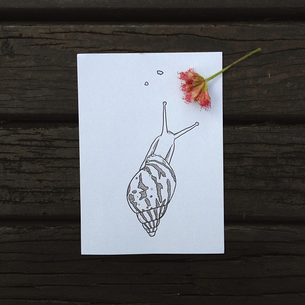 Outing Days Mini Project | * azreenchan