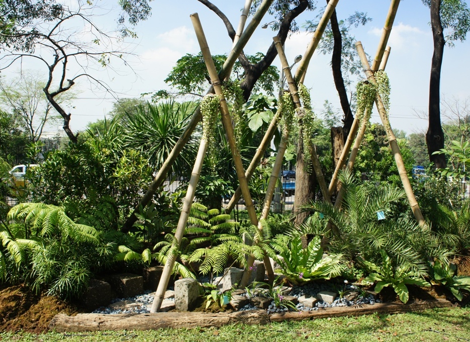 OUR PHILIPPINE TREES: It is More Fun Going and Growing Natives!