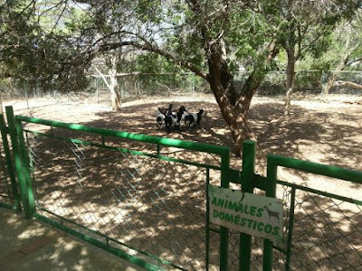 Paraguaná tiene un peculiar Zoo - Alpargata Viajera
