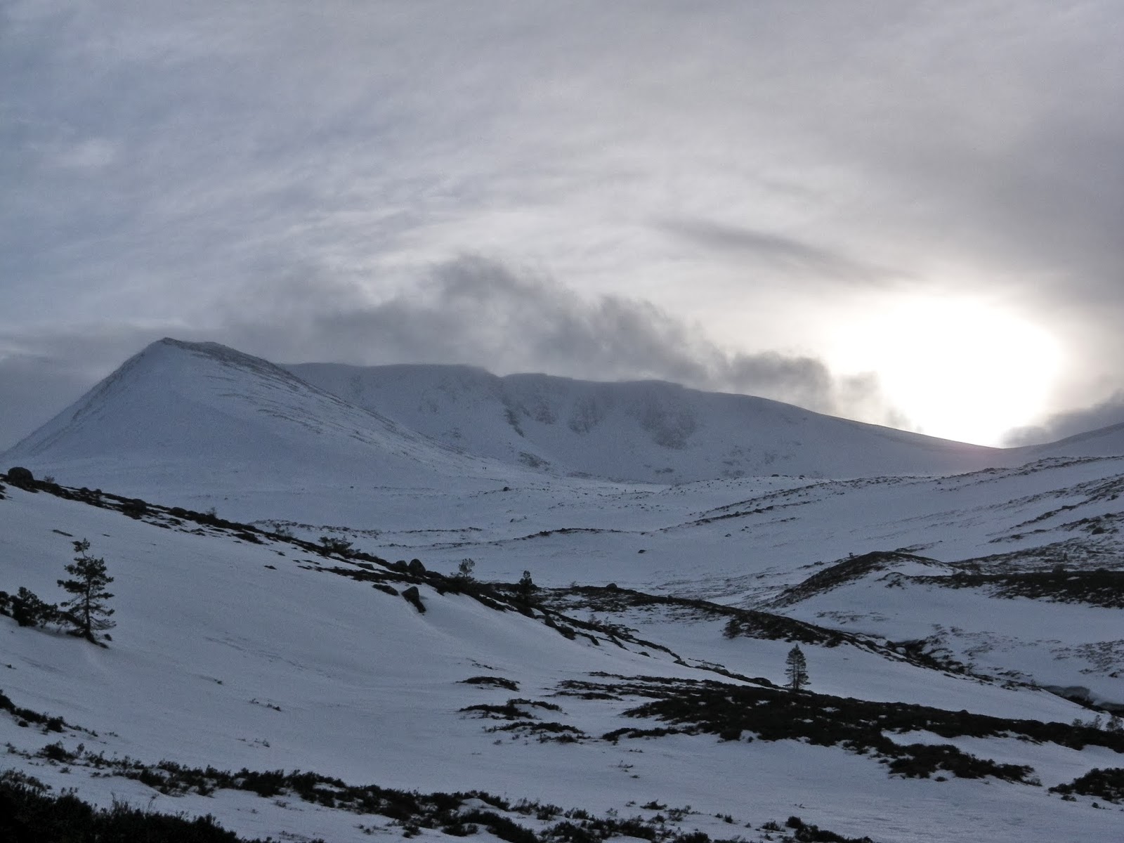 SAIS Northern Cairngorms: A calmer day
