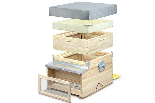 CORONA APICULTORES: COLMENA DADANT