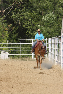 PairADice Mules: Western Pleasure